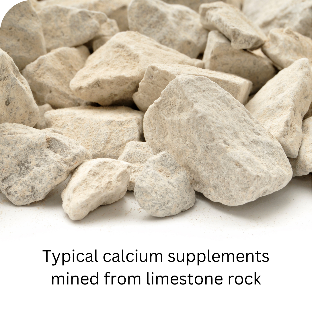 Your calcium supplement might be doing more harm than good – Natralii
